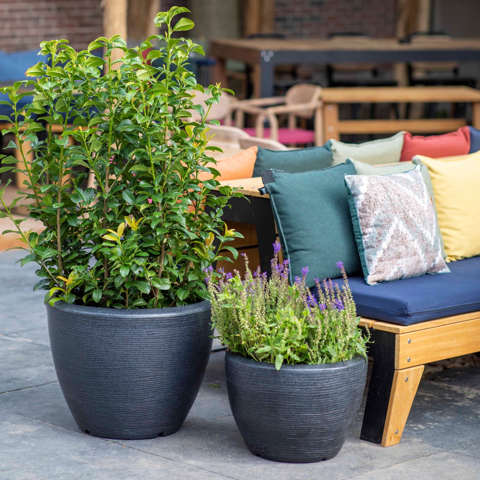 Capi Arc Granite Planter Ball Black – Potzillas