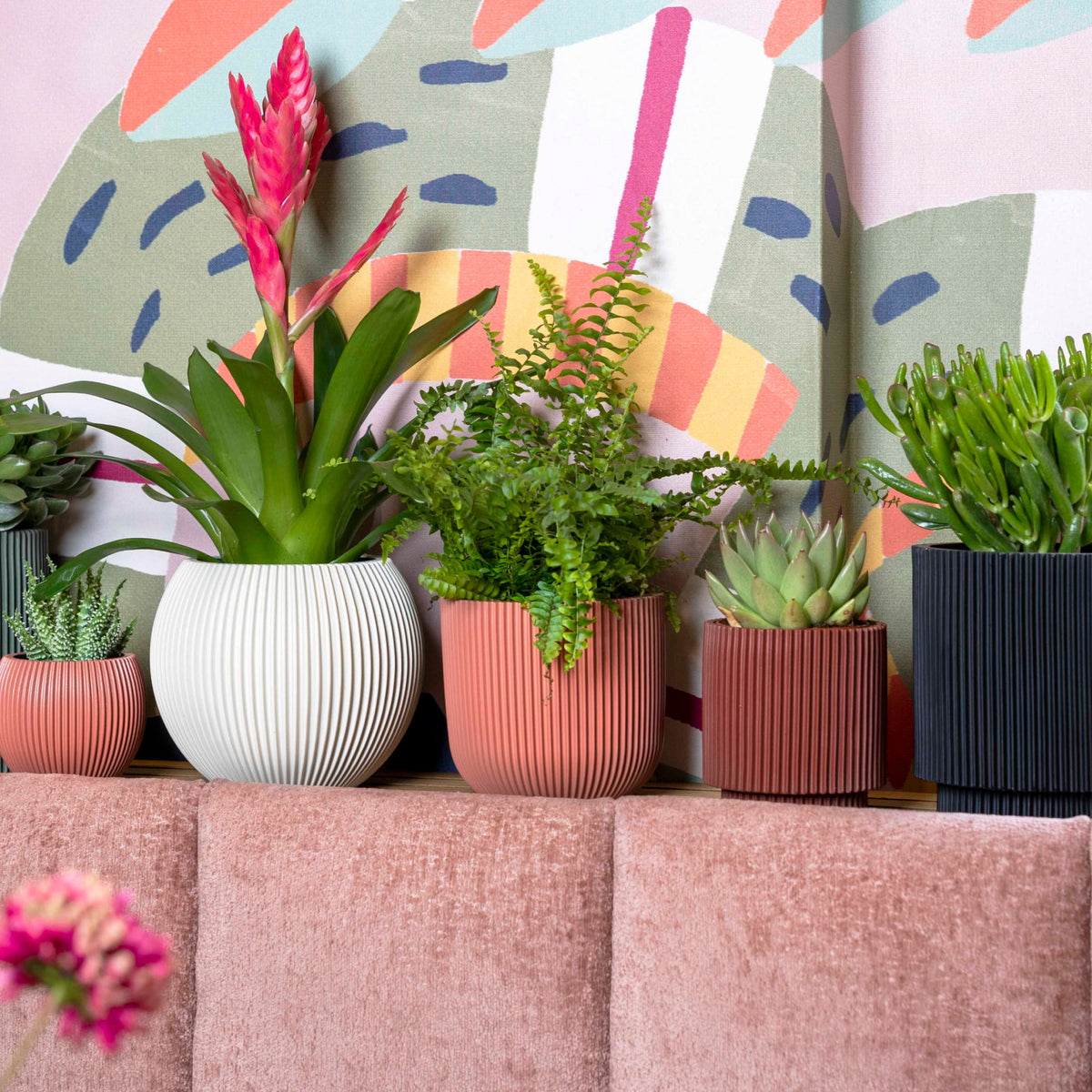 Capi Nature Groove Made With Planter Ball Peachy Fuzz – Potzillas