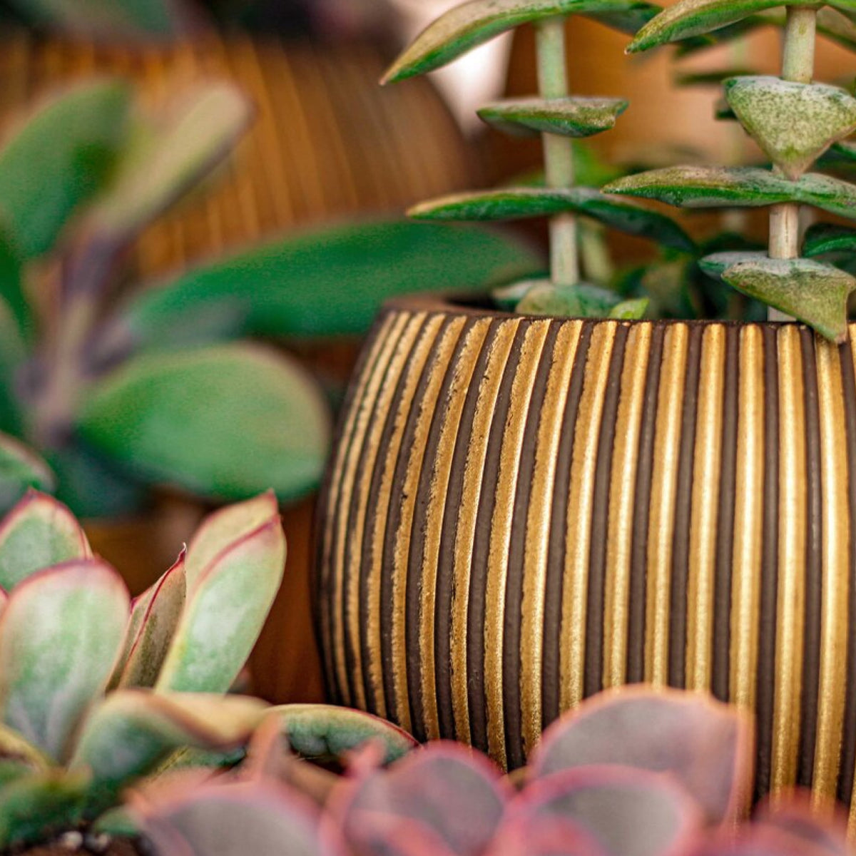 Capi Nature Groove Vase Ball Black Gold – Potzillas