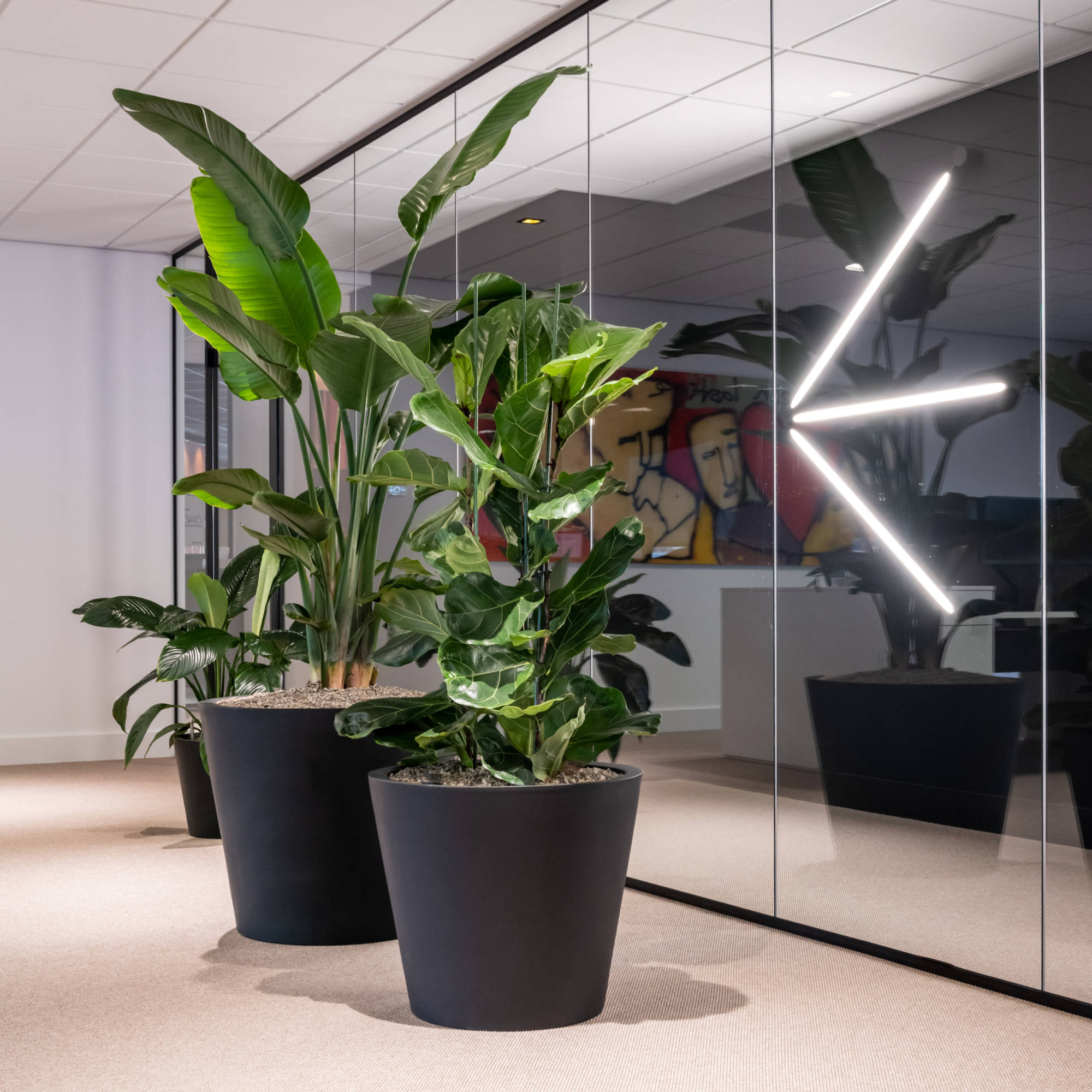 Jumbo Bucket Black – Potzillas